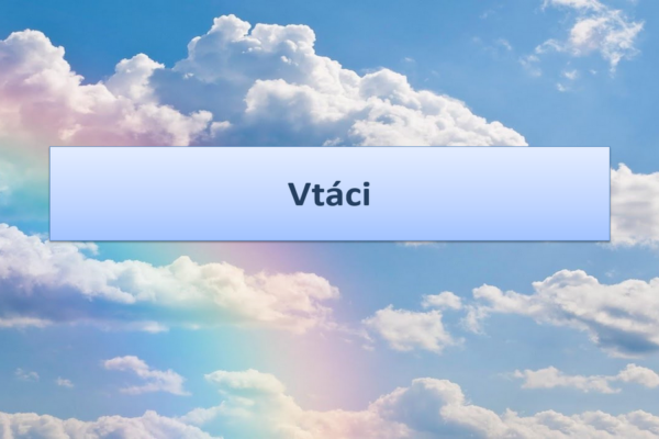 HÁDANKY o lesných zvieratkách | Lenivá učiteľka